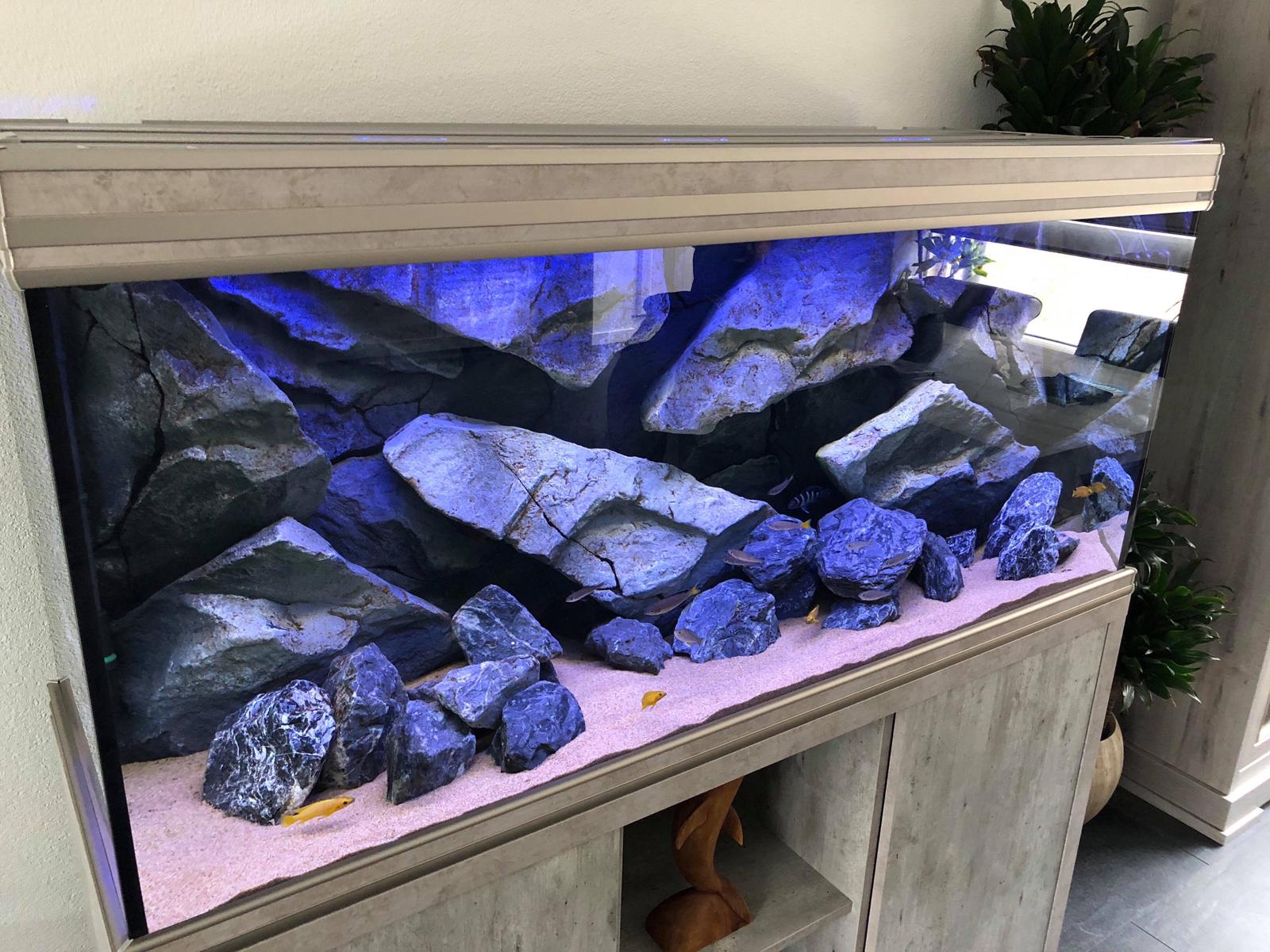 A Models - Classic Rocky Backgrounds Gallery | Aquadecor LLC