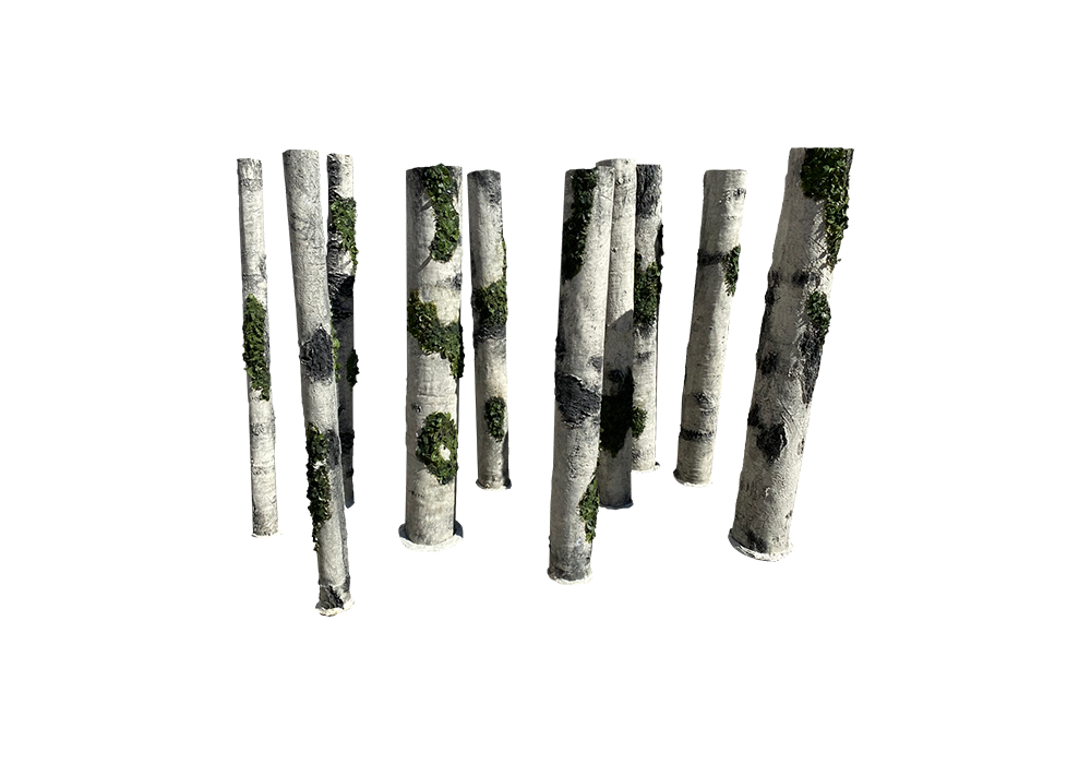 D 10 Plus - Standing logs | Aquadecor LLC