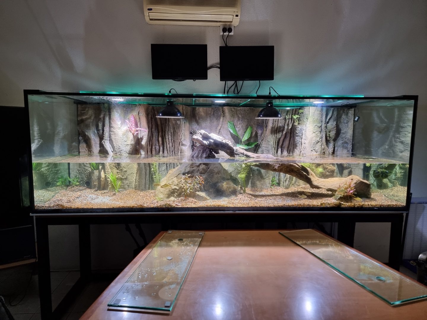 E Models - Slim Amazonian Backgrounds Gallery | Aquadecor LLC